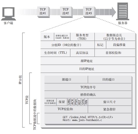 Tcp数据传输与性能tcp传输 大文件 中 确认 Csdn博客