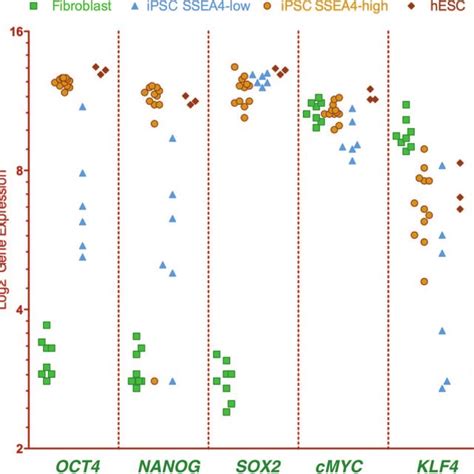 Principal Component Analysis Shows Gene Expression Variability Among