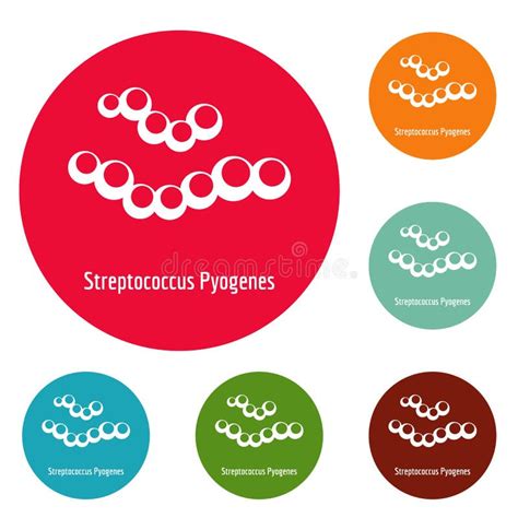 Streptococcus Pyogenes Pathogen Spherical Gram Positive Bacteria Morphology Microbiology
