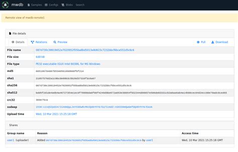 Remote Instances Guide — Mwdb Core 2140 Documentation