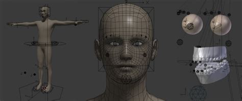 D Rigging Ue Rig Game Trailer Unity Rig Hair Rigging Cgi Puppet Arkit Maya Rig By Mujeebmar