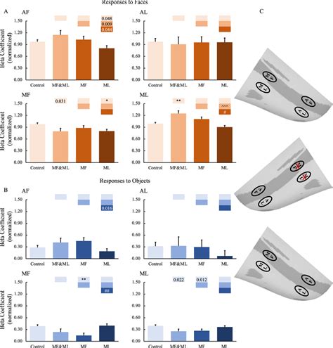 Effects Of Middle Face Patch Inactivation On Responses In The