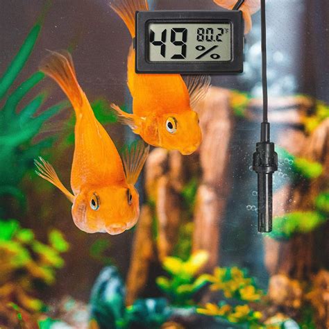 Mini Digital Thermometer Hygrometer Review Automatedhomespro Com