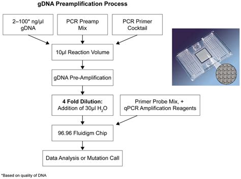 High Throughput Mutation Detection Workflow And Protocol Download Scientific Diagram