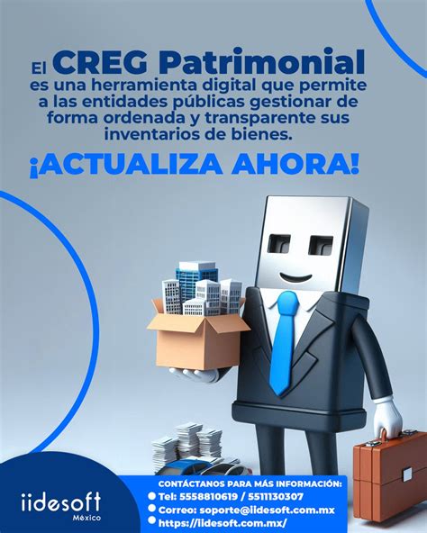 Iidesoft México Sa De Cv