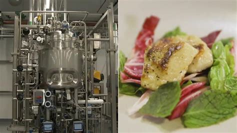 Выращенное в лаборатории мясо получило зеленый свет в меню США Эстония Eesti