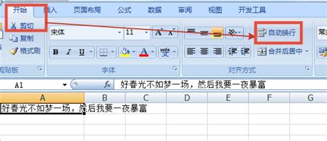 Excel单元格内怎么回车换行 新知