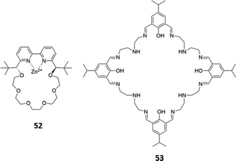 Structures Of Zn Based Metallomacrocyclic Anion Receptors 52 K A Ch 3 Download Scientific