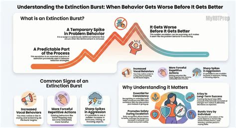 Extinction Burst Definition Signs Examples And Rbt Behavior Management