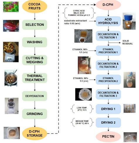 Pectin Extraction From Residues Of The Cocoa Fruit Theobroma Cacao L