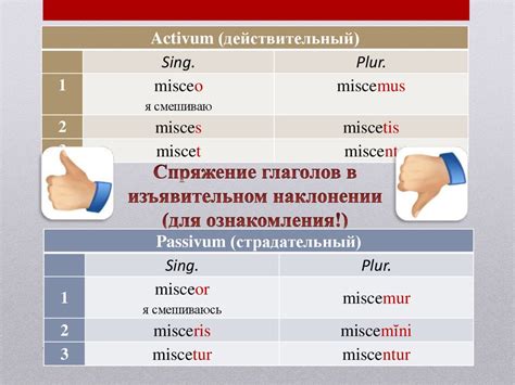 Глагол в латинском языке презентация онлайн