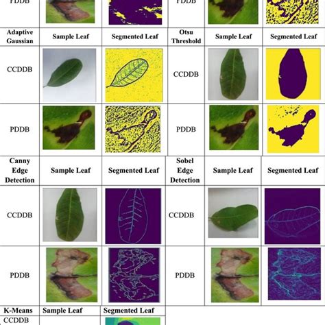 shows sample input and the segmented leaf of different segmentation