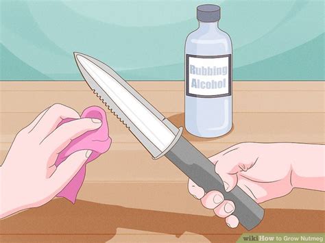 How To Grow Nutmeg With Pictures WikiHow