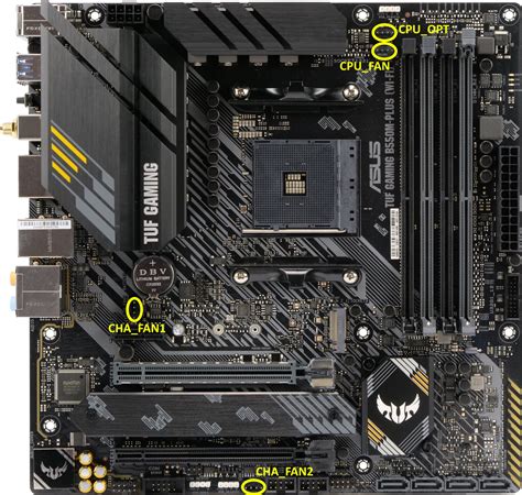 Asus Tuf Gaming B550 Plus Review At Lisa Cunningham Blog