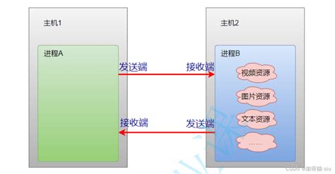 网络编程 socket套接字