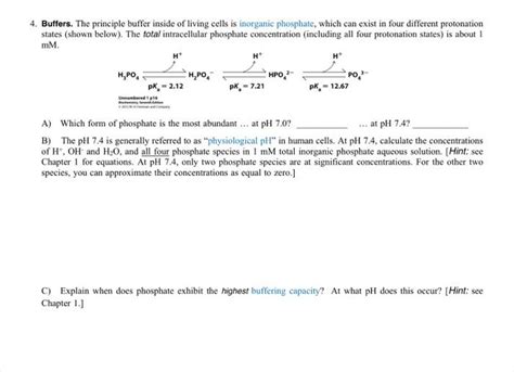 Solved 4 Buffers The Principle Buffer Inside Of Living