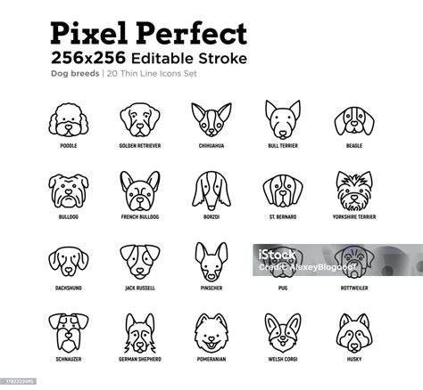 개는 얇은 선 아이콘 세트를 낳습니다 푸들 불 테리어 비글 프렌치 불독 요크셔 테리어 닥스 훈트 잭 러셀 핀셔 퍼그 개 머리 정면도 편집 가능한 획 벡터 일러스트 레이