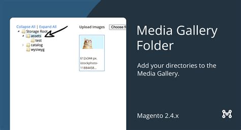 GitHub Magenizr Magenizr MediaGalleryFolder Add Your Directories From Pub Media To The Media