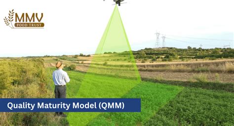 Revolutionizing Indian Agriculture A Business Model For Faas