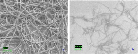 Figure 2 From Cellulose Microfibril Nanofibril And Its Nanocompsites Semantic Scholar