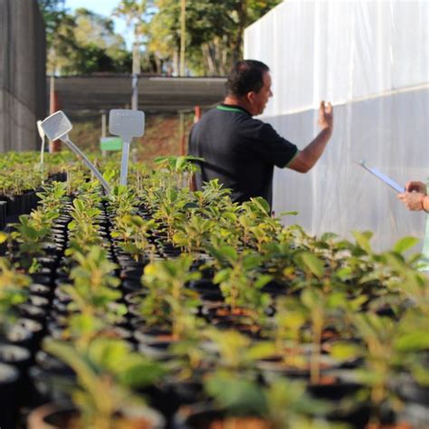 Engenharia De Projetos Civil Ambiental E Logística Emflortec