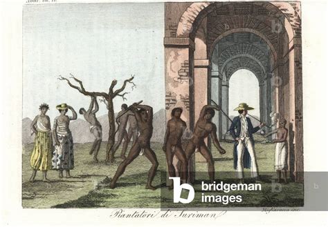 Pictures Of Slaves Being Tortured At Jaime Cardenas Blog