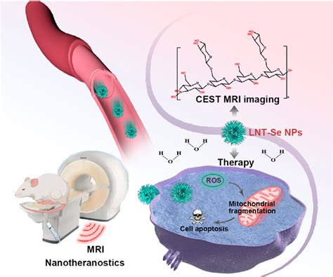 Figure 1 From Theranostic Cancer Treatment Using Lentinan Coated Selenium Nanoparticles And