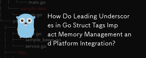 go struct 標籤中的前導底線如何影響記憶體管理和平台整合？ golang php中文網
