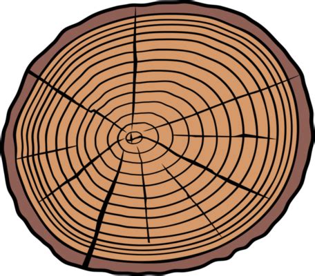 Tree Rings PNGs For Free Download