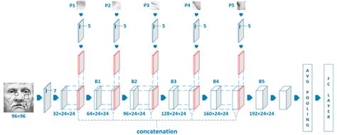 The Architecture Of The Fusion Network For Face Based Age Estimation