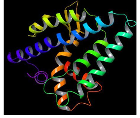 3d modeled structure of amecr protein download scientific diagram