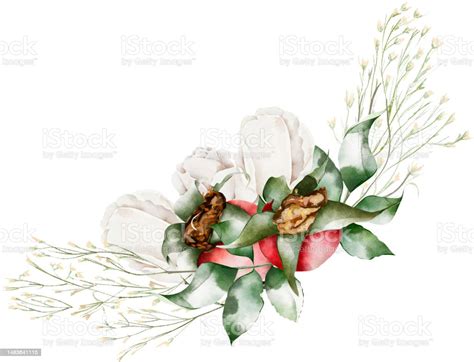 흰색과 말린 꽃이 있는 로즈힙 테두리 프레임 수채화 그림 0명에 대한 스톡 벡터 아트 및 기타 이미지 0명 개화기 계절 Istock