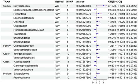 Frontiers Causal Relationship Between Gut Microbiota And Diabetic