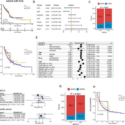 Of Nfe2l2 Mutations And Survival Outcomes In Patients Receiving Icis