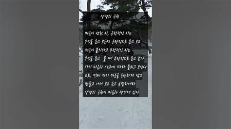 생명의 근원이 마음과 생각에 있다명언 인생조언 지혜 Youtube