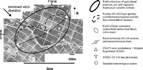 Details Of The Experimental Set Up Type And Or Spatial Scale Download Scientific Diagram