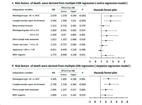 Multiple Cox Regression Analyses Of Risk Factors With The Death Of