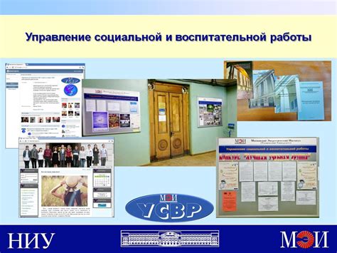 Ниу мэи схема корпусов 93 фото