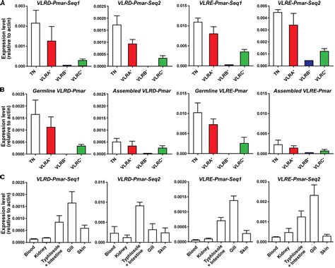 Evolution Of Two Distinct Variable Lymphocyte Receptors In Lampreys VLRD And VLRE Cell Reports