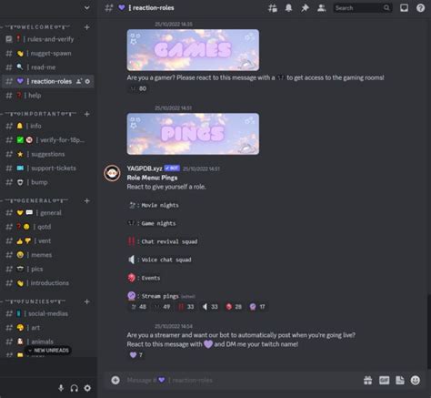 Set Up Your Discord Server By Cutiepeaches Fiverr