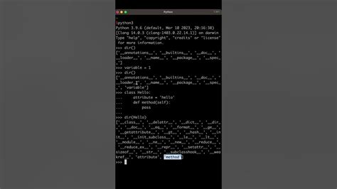 My Most Used Function In Python 3 The `dir` Function Python3 Basics