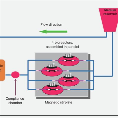Cell Encapsulation Cells Can Be Protected With Materials Download Scientific Diagram