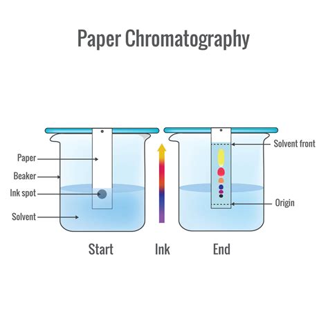 Is Paper Chromatography A Liquid Liquid Chromatography At Sharon Reed Blog