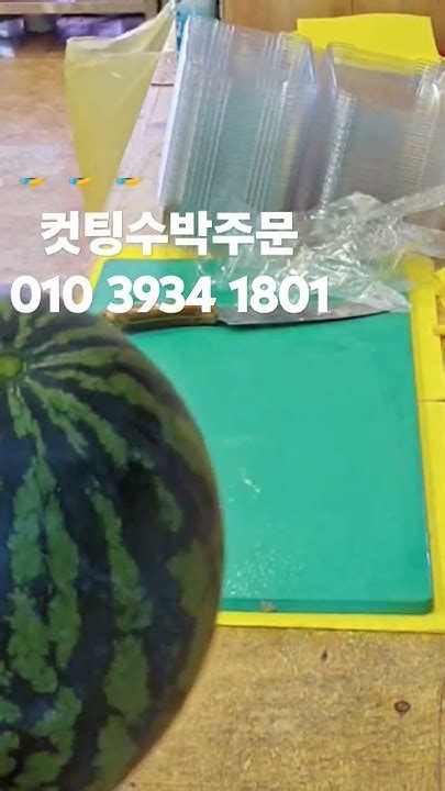 백발백중 수박고르기🥰 Youtube