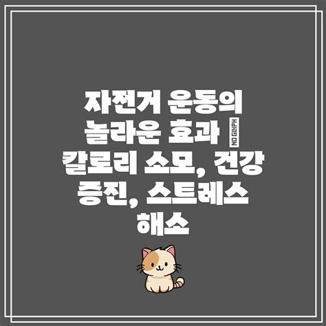 자전거 운동의 놀라운 효과 칼로리 소모 건강 증진 스트레스 해소
