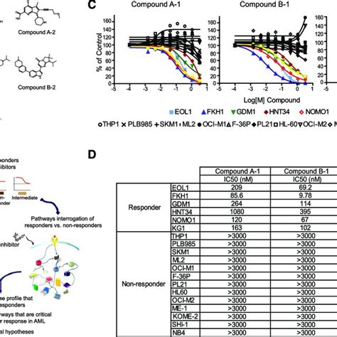 Pdf Pim Inhibitors Target Cd25 Positive Aml Cells Through Concomitant Suppression Of Stat5