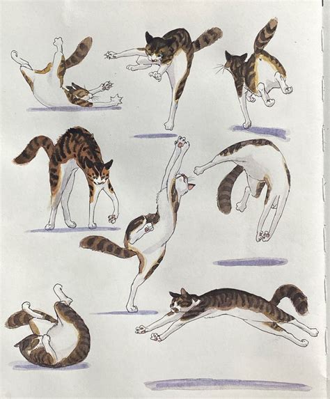 Best 13 How To Draw A Realistic Cat Draw Real Cat Step By Step Drawing Guide By Dawn Artofit