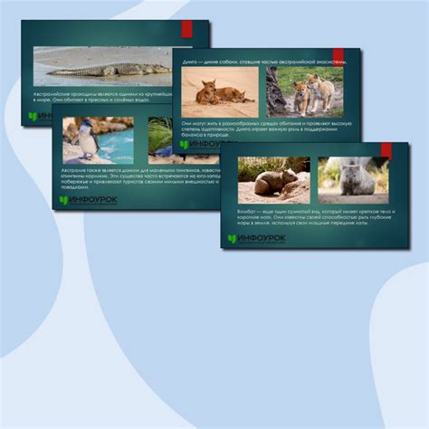 Презентация на тему «Птицы Австралии 7 класс