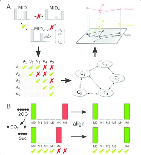 Mid Similarity Analysis For Pathway Contextualization And Detection Of Download Scientific