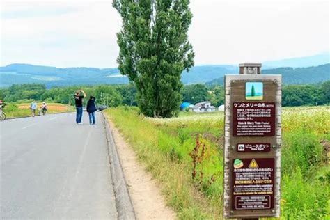 삿포로↔비에이 후라노 1일 버스투어 투어비스 투어and티켓